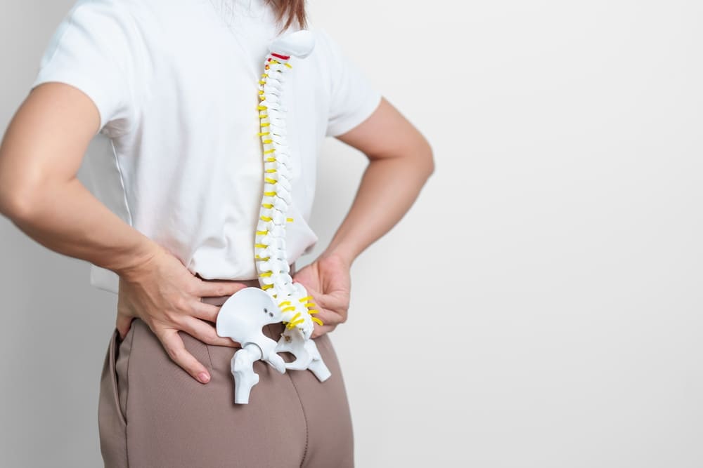 Types of Surgeries for Degenerative Disc Disease: Which Option Is Right ...